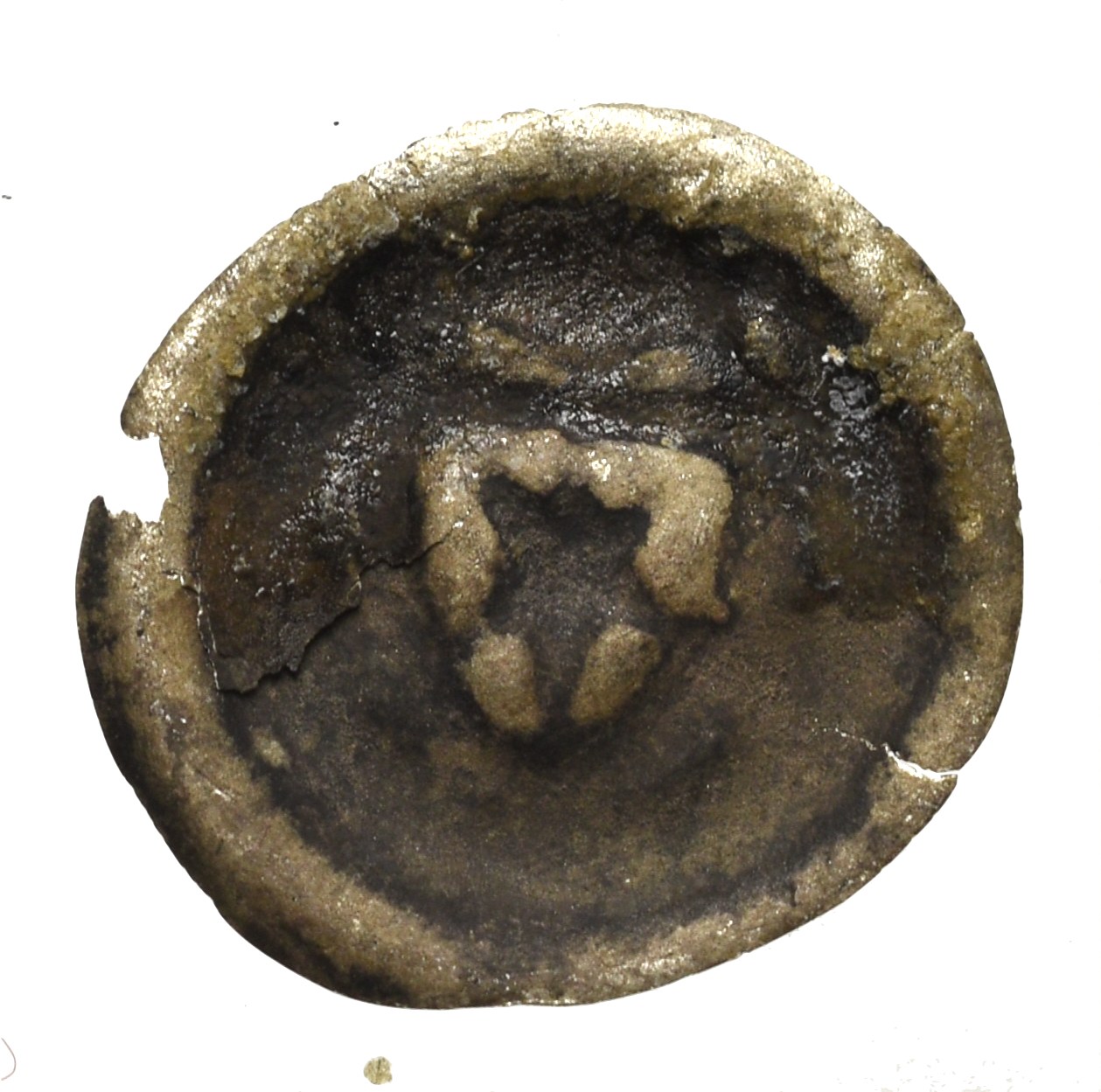 Zakon Krzyżacki, Brakteat - tarcza z gwiazdą i kulami po bokach ...