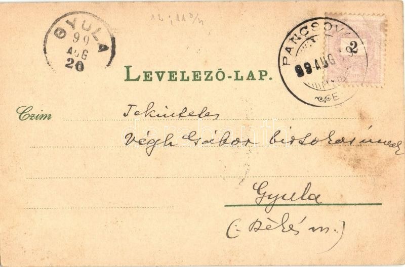 1899 Pancsova, Pancevo; Gromon utca, üzlet. Kohn Samu kiadása / Gromon ...