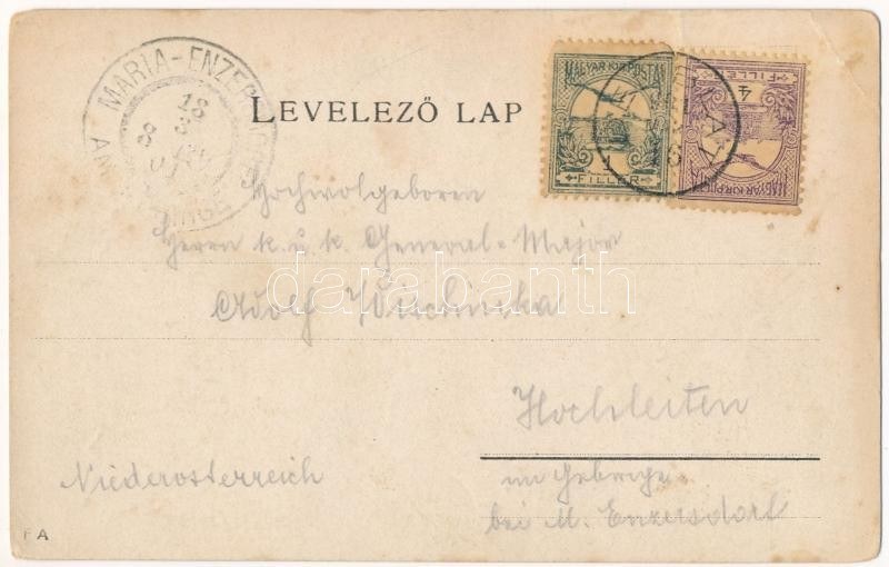 1901 Temes vármegye térképe. Kiadja Károlyi Gy. / Map of Timis county ...