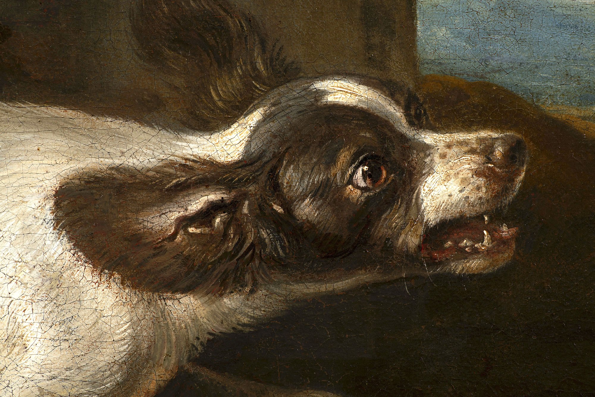 David De Coninck (c. 1636 Antwerps - after 1701, Brussels) - Aukcja ...