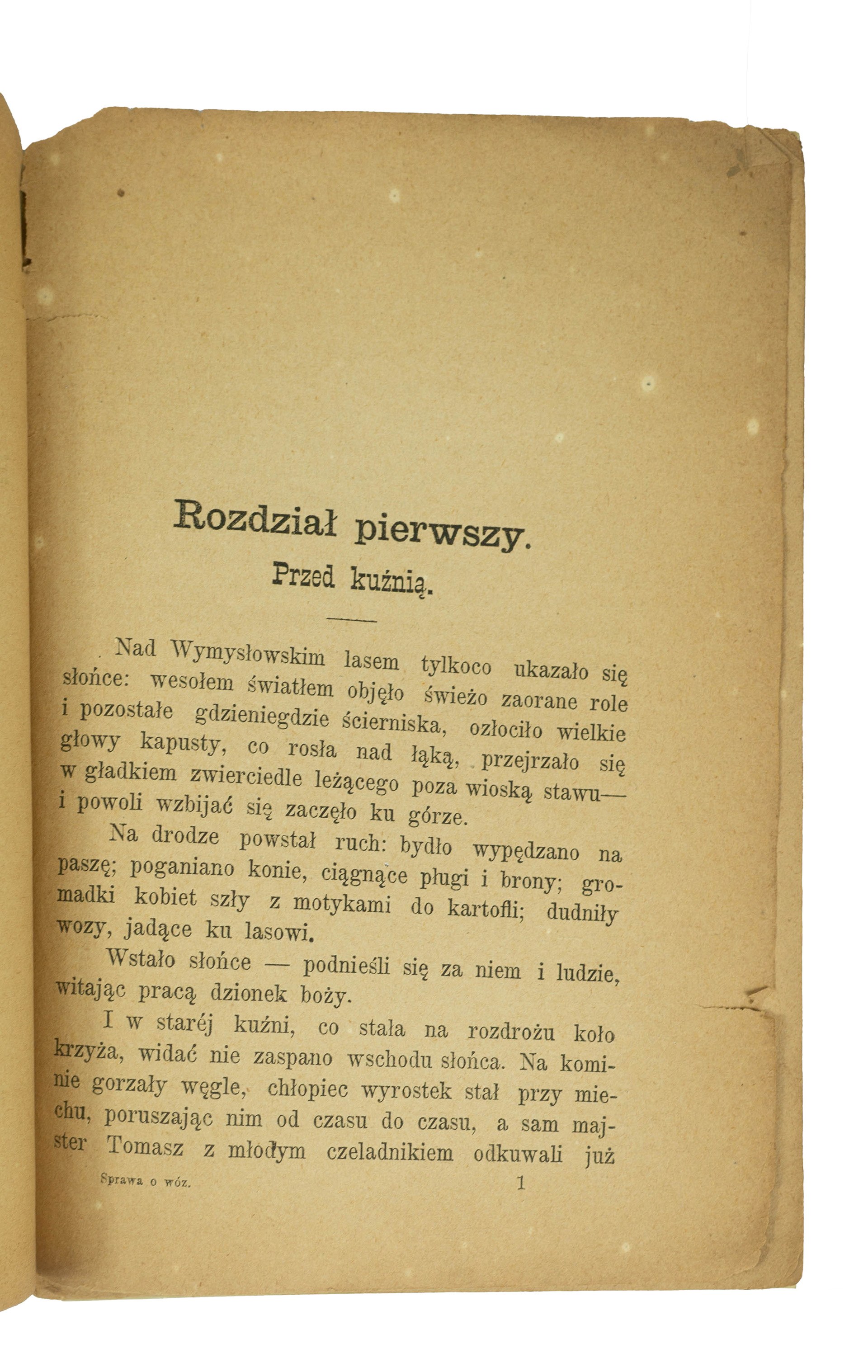 OLSZEWSKI Wiktor - Sprawa o wóz czyli historyja o jednym wójcie i jego pisarzu, Warszawa 1888r ...