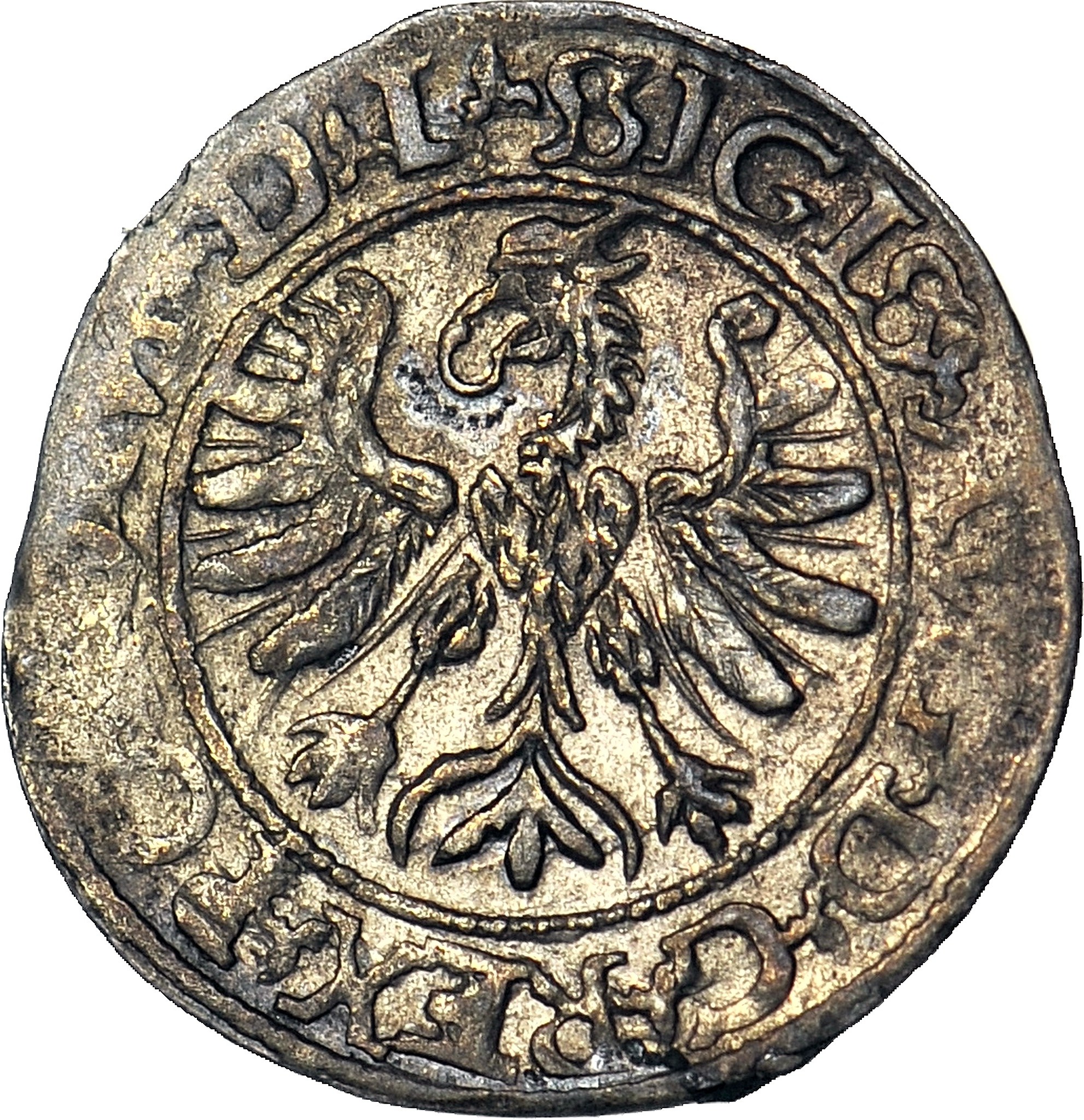 RRR-, Zygmunt II August, Półgrosz 1566, Tykocin, herb Jastrzębiec, MAG ...