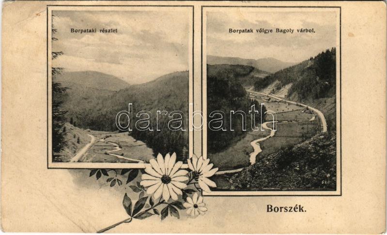 1910 Borszék, Borsec; Borpatak völgye a Bagolyvárból. Soós kiadása ...