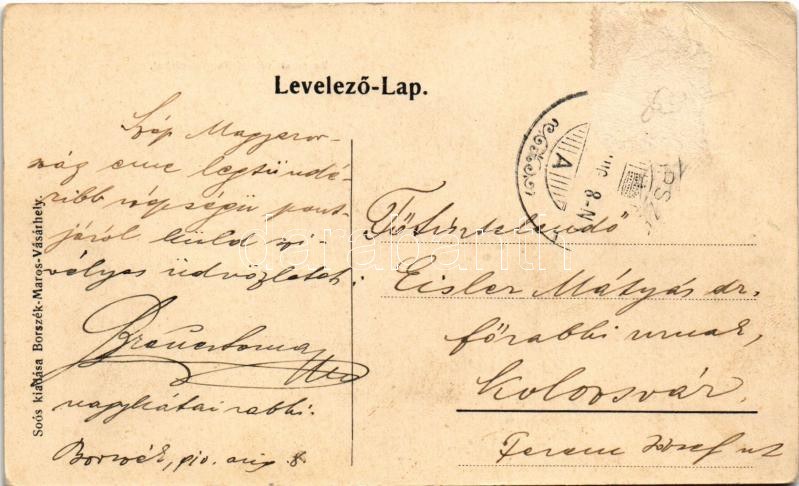 1910 Borszék, Borsec; Borpatak völgye a Bagolyvárból. Soós kiadása ...