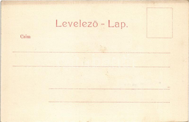 Huszt, Chust, Khust; vár. Huszti nyomda vállalatok kiadása / hrad ...