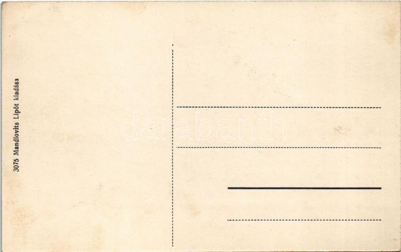 Huszt, Chust, Khust; várrom és fahíd. Mandlovits Lipót kiadása / hrad ...