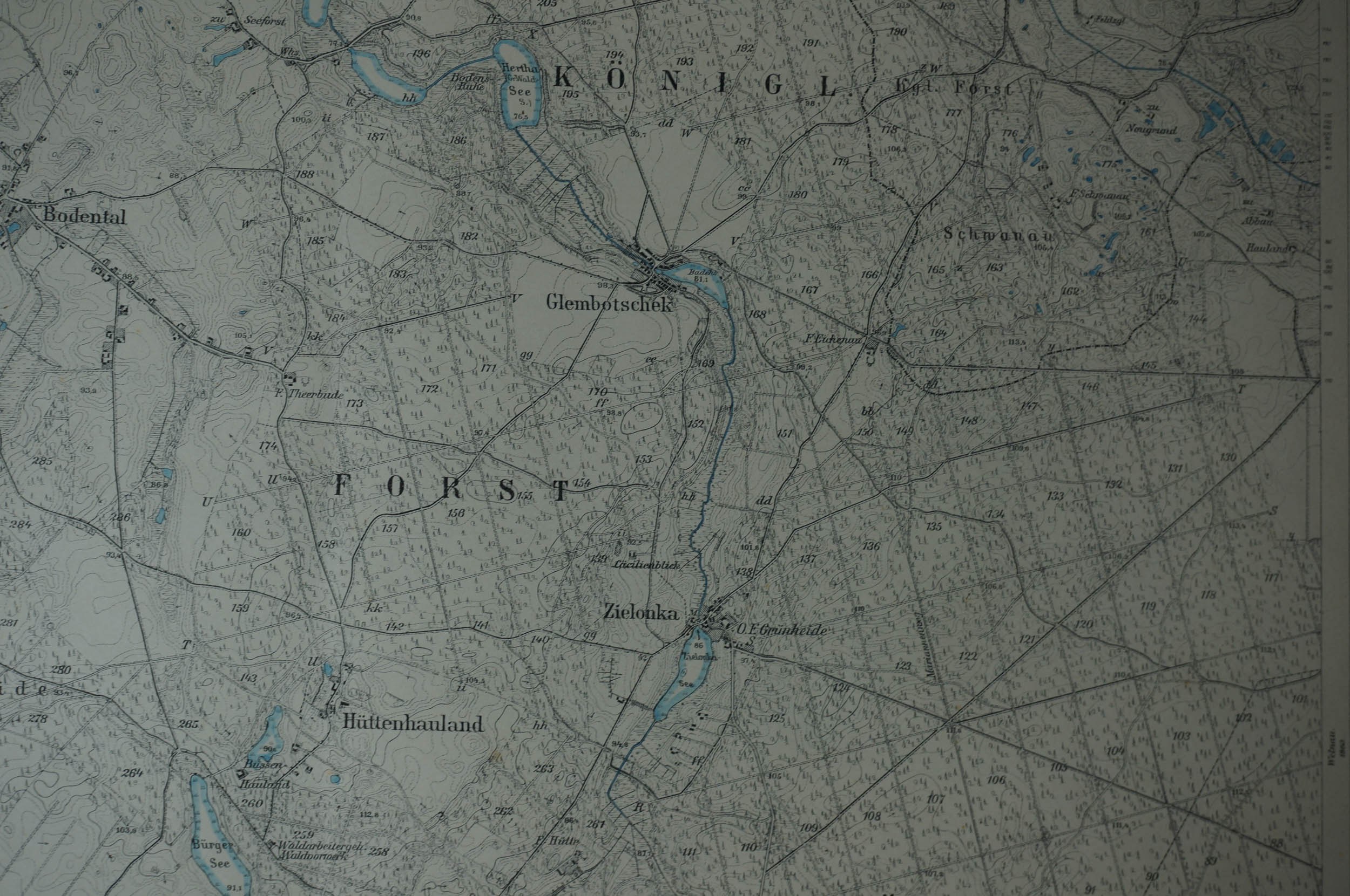 MUROWANA GOŚLINA - Murowana Goslin , mapa, skala 1: 25.000, f. 56,5 x ...