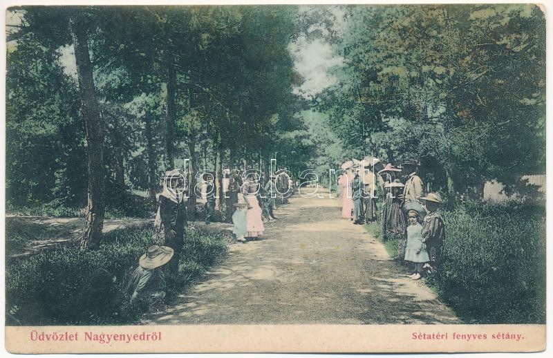 1908 Nagyenyed, Aiud; Sétatéri fenyves sétány. Földes Ede kiadása ...