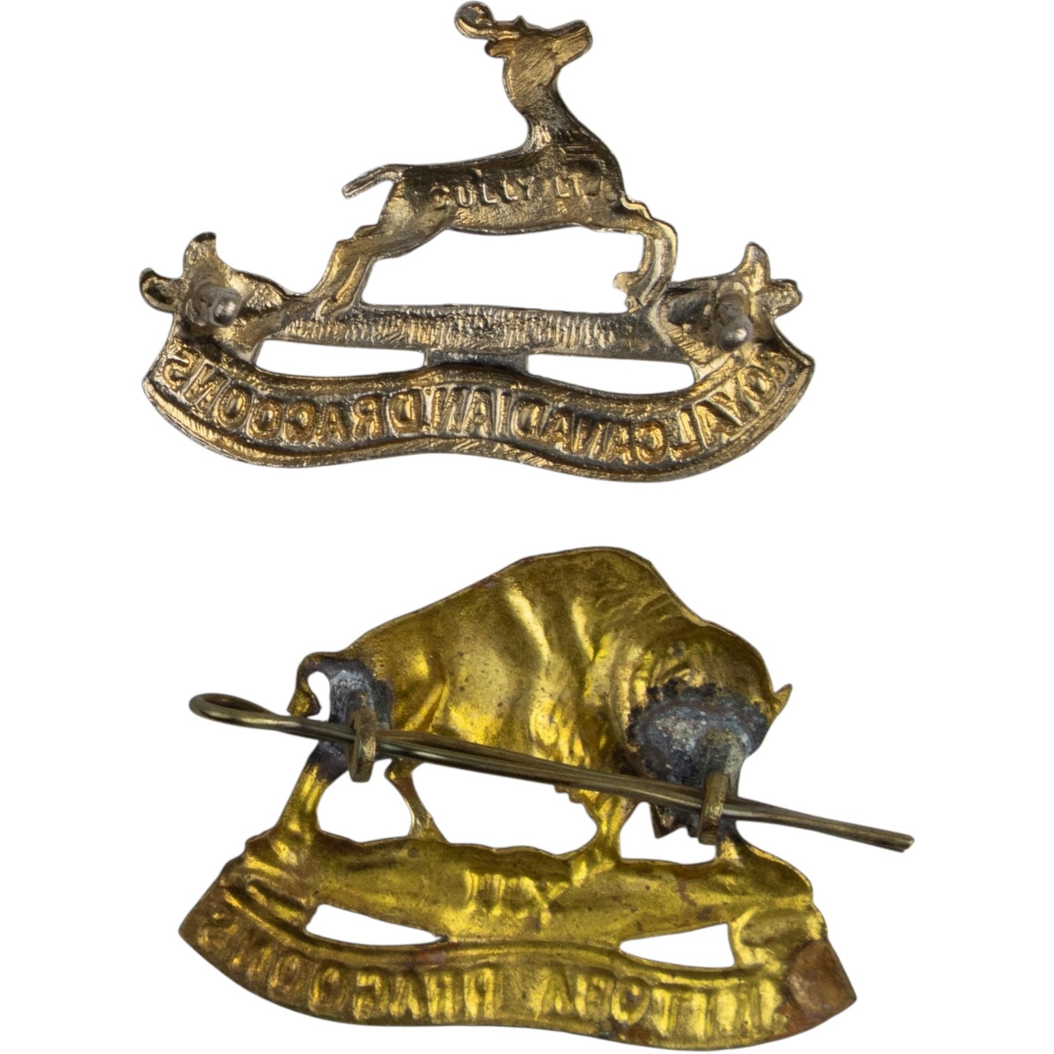 Kanadyjskie odznaki Royal Canadian Dragoons i 12th Manitoba Dragoons (2 ...