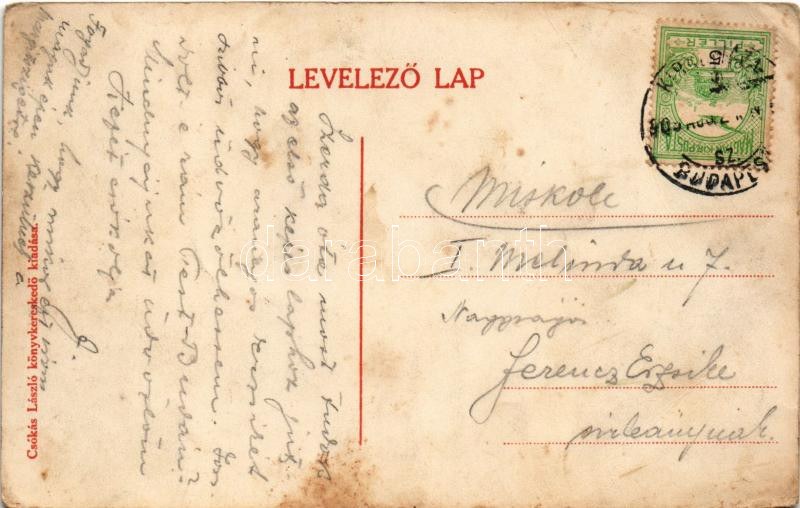 1909 Nagykároly, Carei; Gróf Károlyi kastély. Csókás László kiadása ...