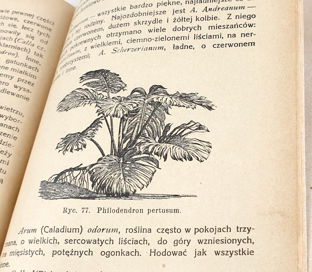 JANKOWSKI- OGRÓD WIEJSKI wyd. 1928r. - Aukcja internetowa / Licytacja ...