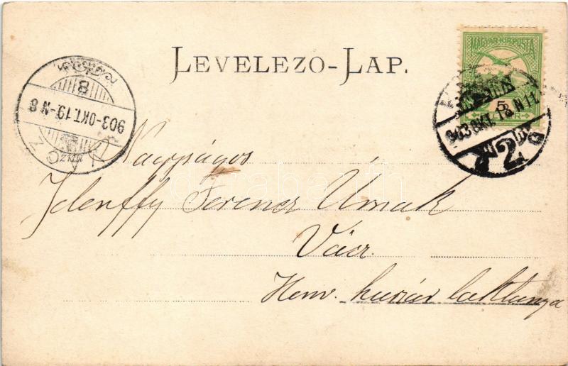 1903 Kassa, Kosice; Kossuth Lajos utca, Vitéz A. üzlete. Varga Bertalan kiadása / street, shops ...